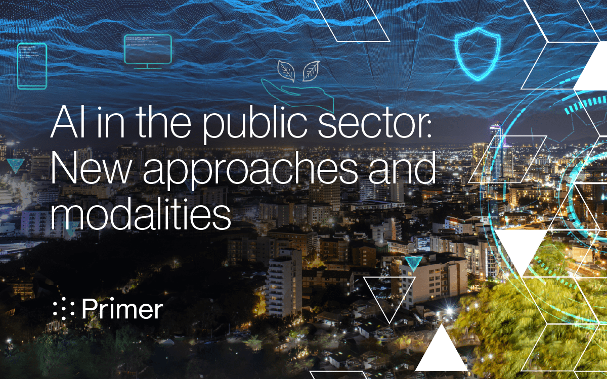 AI in the public sector: New approaches and modalities - PrimerAI
